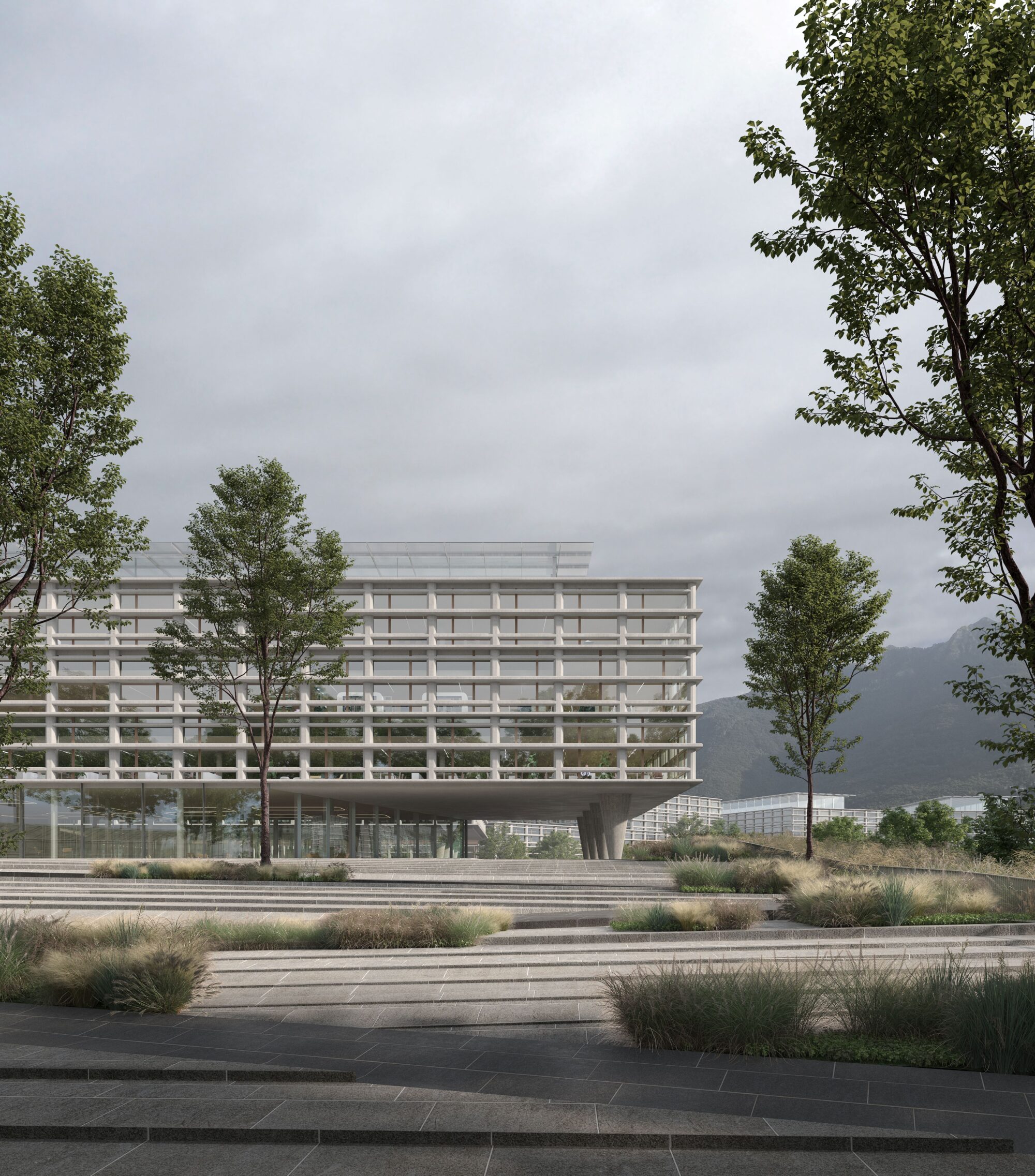 HOSPITAL COMPETITION - WOLF - WOLF